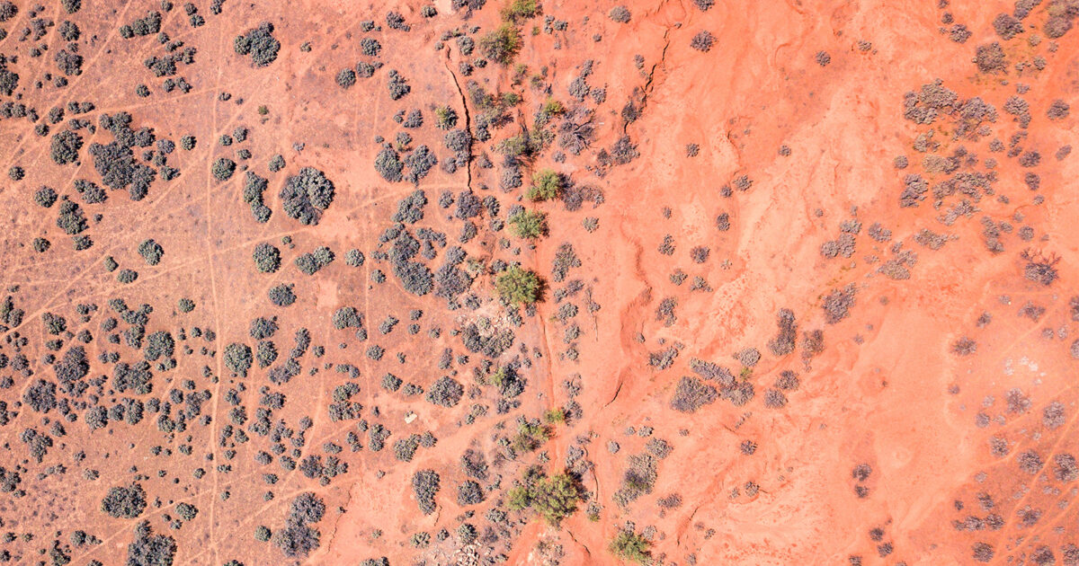 Danielle Sacks - Johnson Winter Slattery